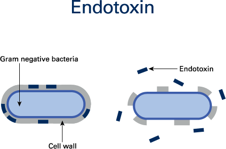 The Benefits of Low Endotoxin Products